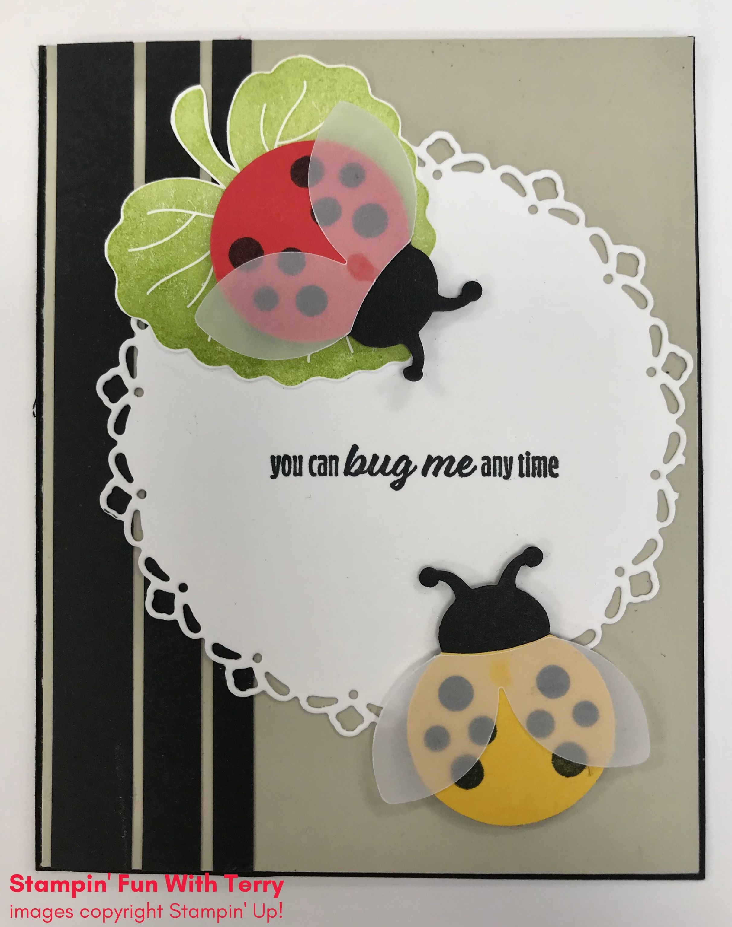 Ladybug Greeting Card
