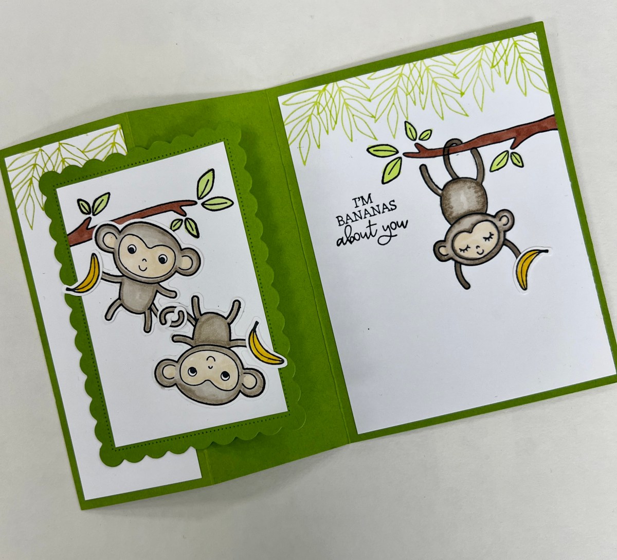 Little Monkey Fold Out Card